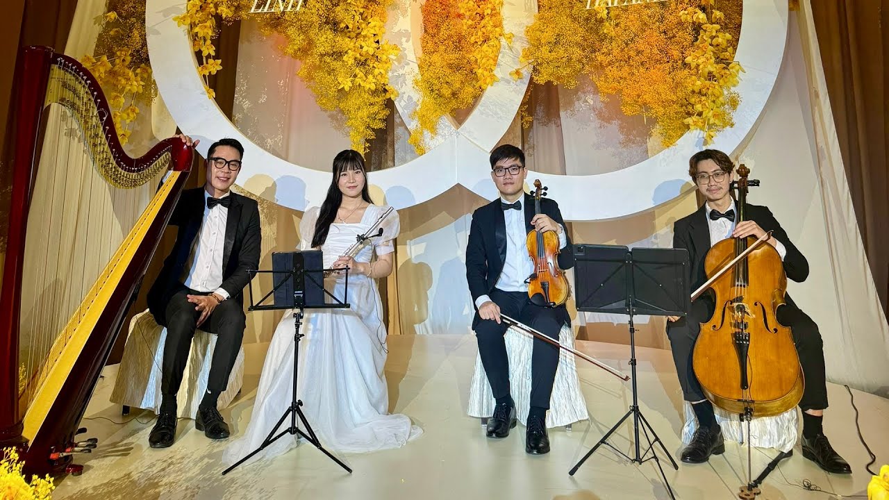 Christina Perri - A Thousand Year - String Quartet Harp/Flute/Violin ...