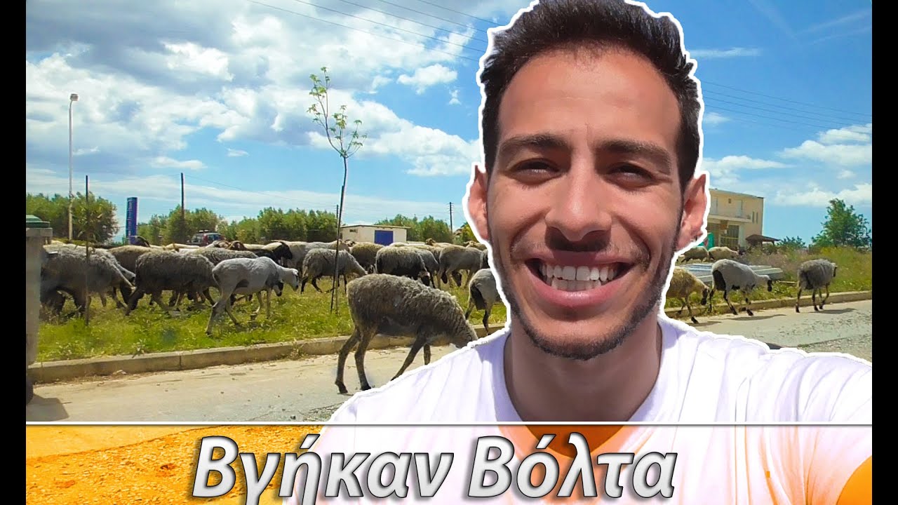 ΠΡΟΒΑΤΑΚΙΑ ΠΑΝΤΟΥ !! - YouTube