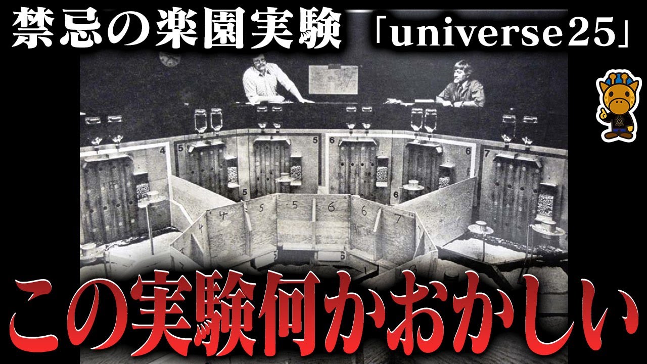 人工的な楽園を作った禁忌の実験「universe25」について Youtube