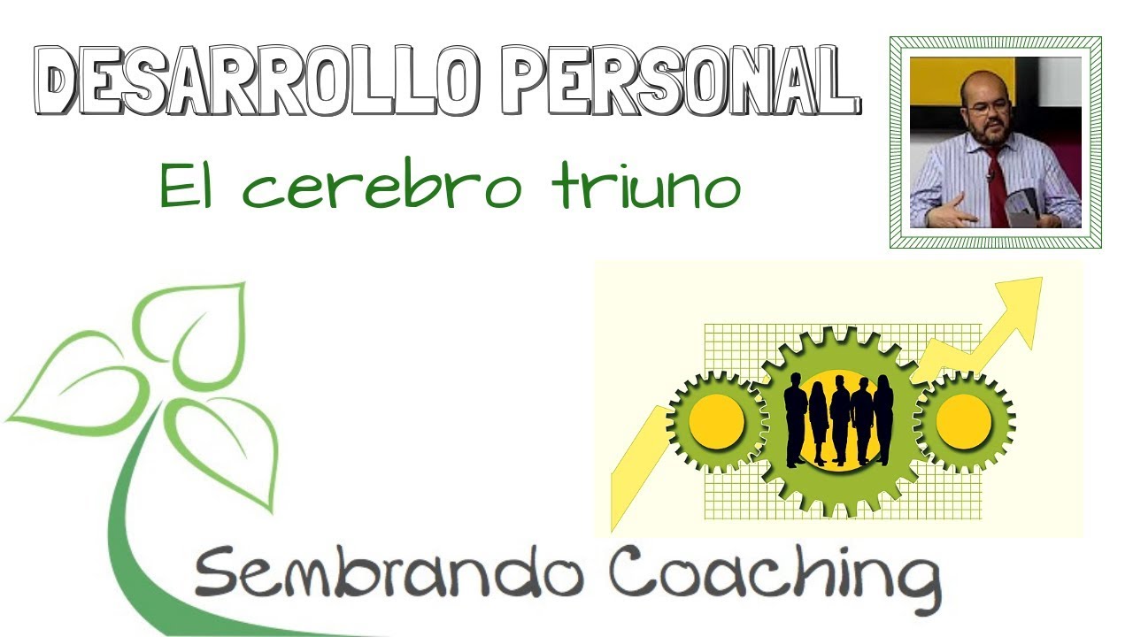 El cerebro triuno - YouTube