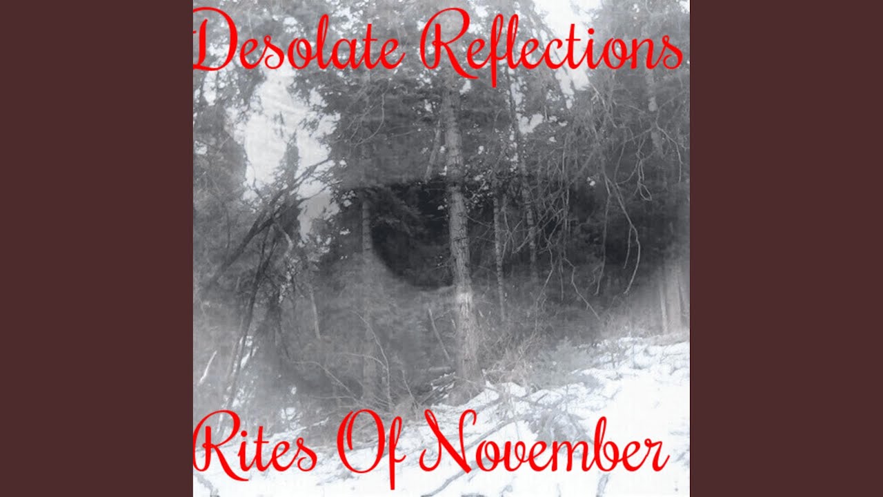 Desolate Reflections (Instrumental Version) - YouTube