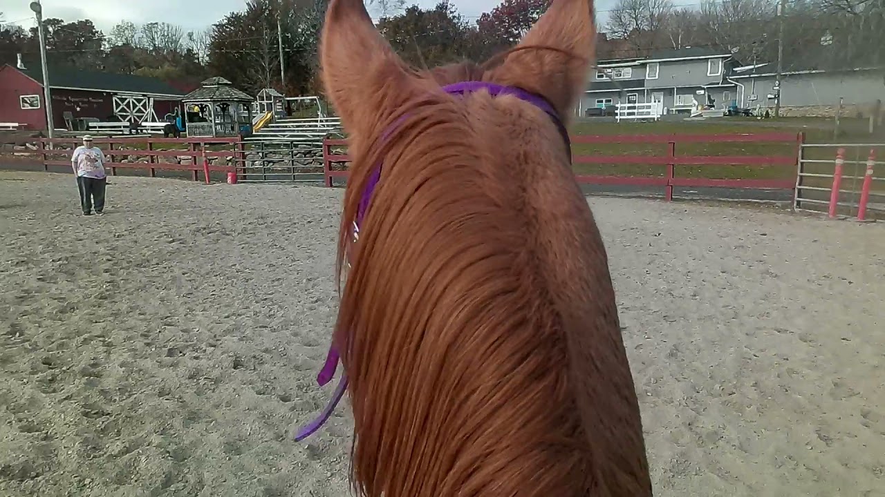 P.O.V horse riding in the outdoor ring - YouTube