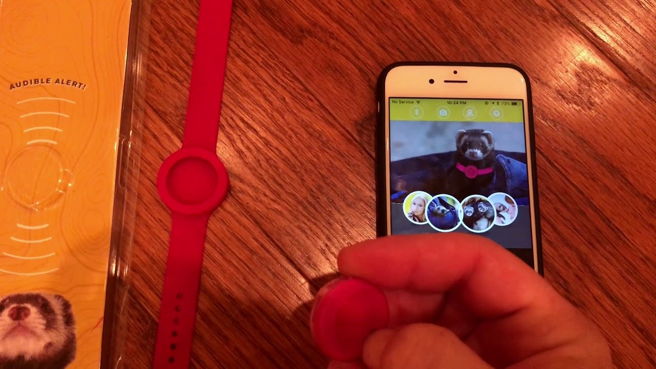 The Marshall Pet Ferret Finder™ Set Up - YouTube