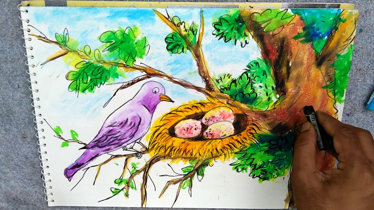 How to draw a Nest with oil pastel II By Colourless Nasir - YouTube