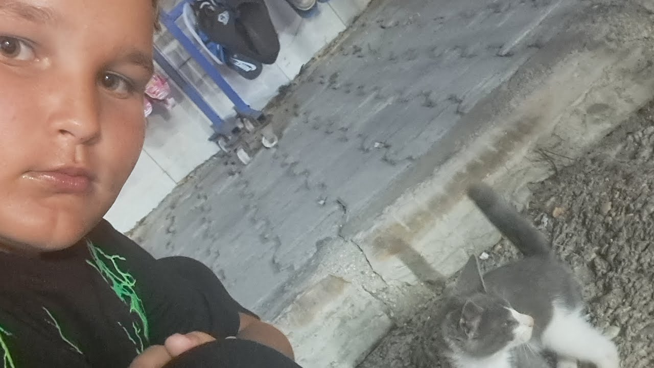 ziua 5 din turcia prea multe pisici - YouTube