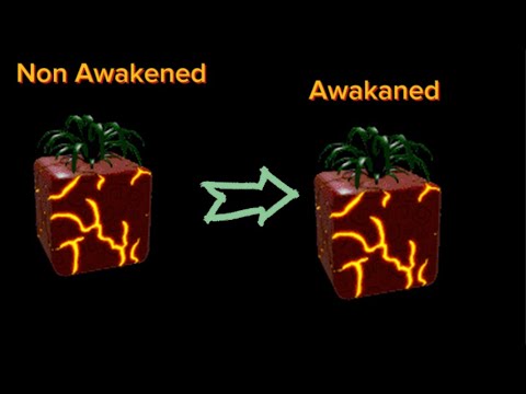 Showcase of All Awakaned Magma Moves in Roblox Blox Fruits! - YouTube