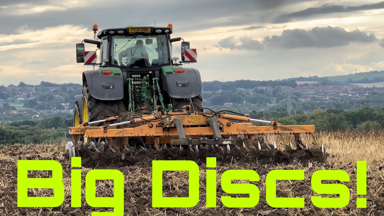 Big Simba Discs in Action! Mucking out… V Busy Day at the Farm! - YouTube