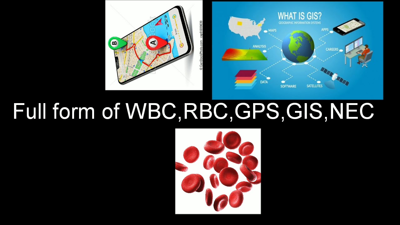 Full form of:WBC,RBC,NEC,GPS,GIS - YouTube