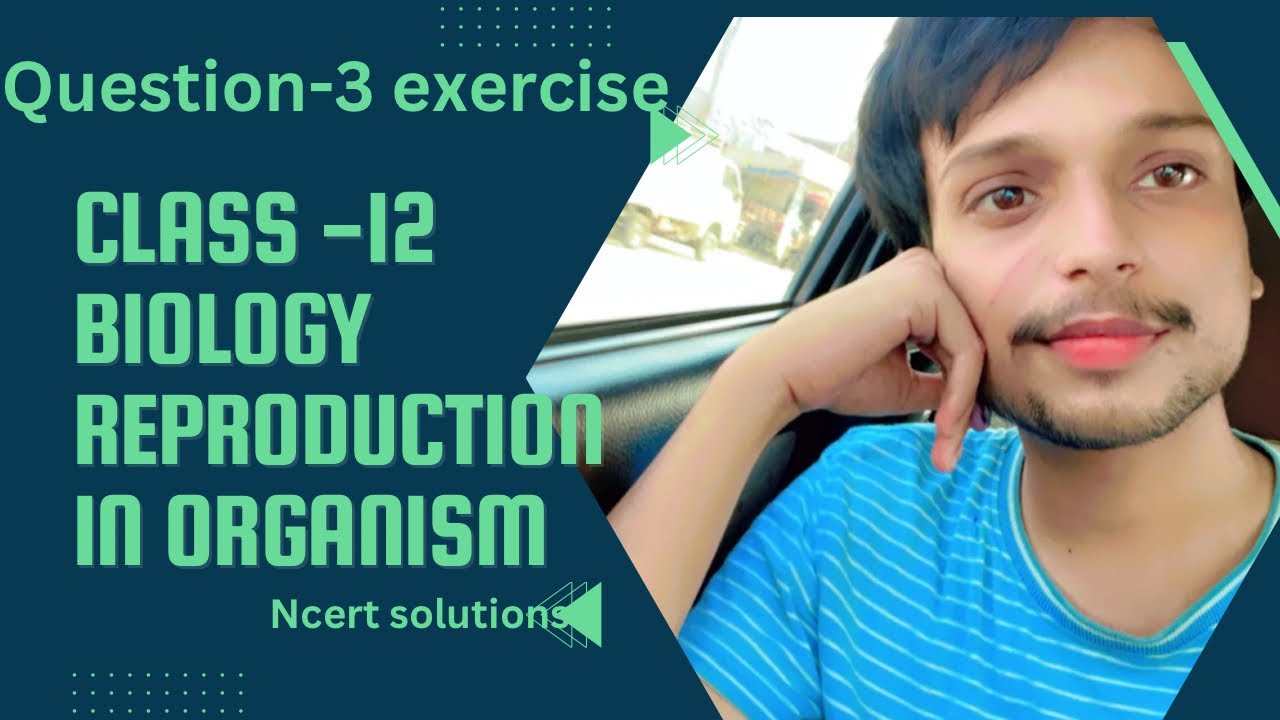 Why is the offspring formed by asexual reproduction referred to as ...