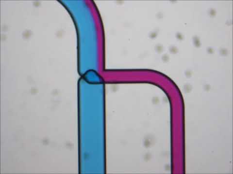 Out of plane capillary stop valve - YouTube