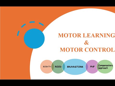 Motor learning and control - YouTube