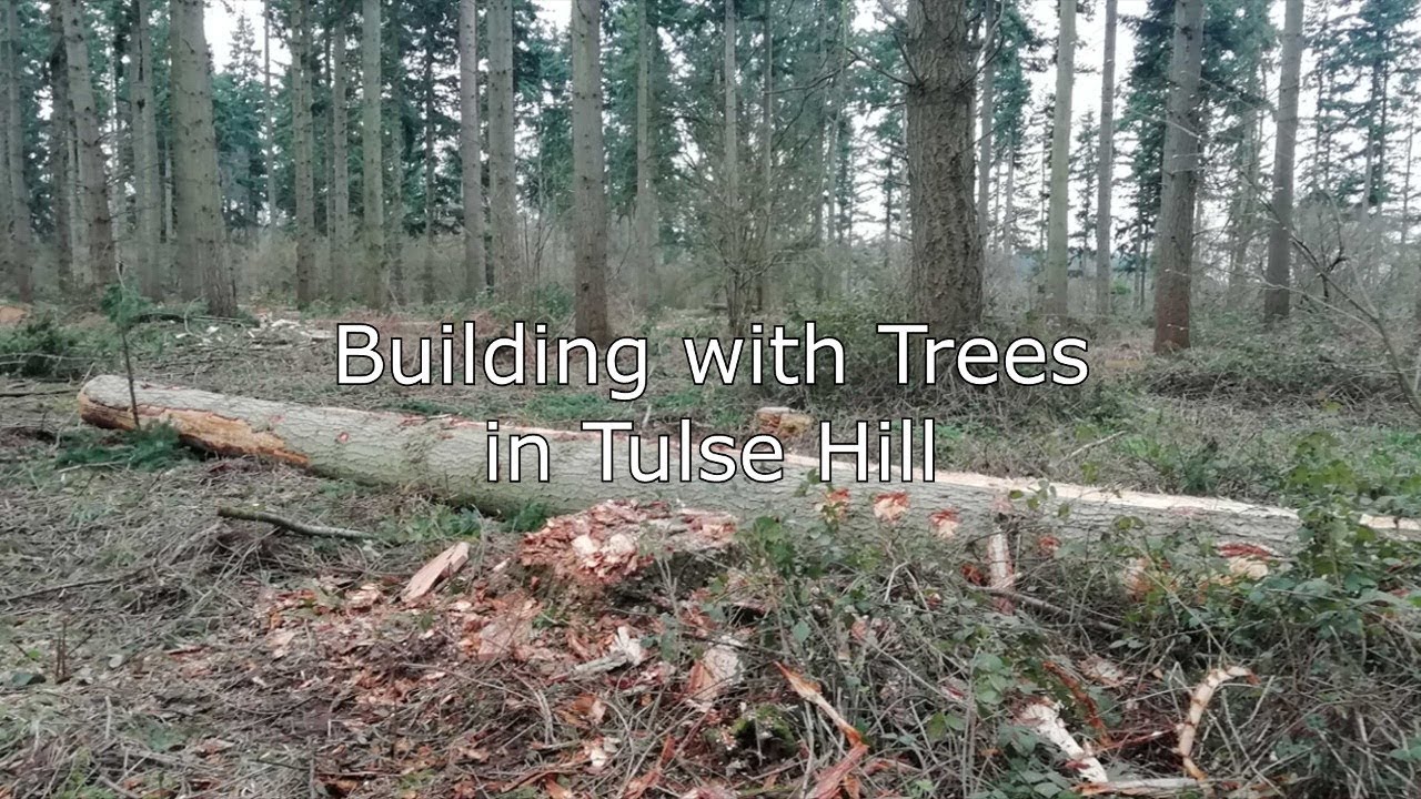 Trees to Frames in Tulse Hill - YouTube