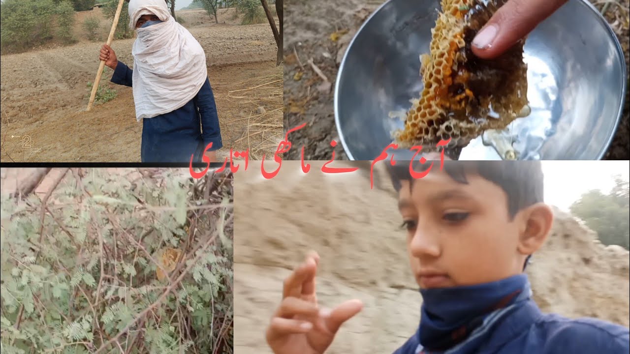 AJ HAM NE SHAHAD UTARI HI|| BHUT MAZZA AYA || AMIR VLOG 👑. - YouTube