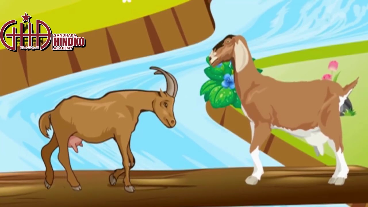 2 Bakriya Cartoon Hindko Dubbed Cartoon - YouTube