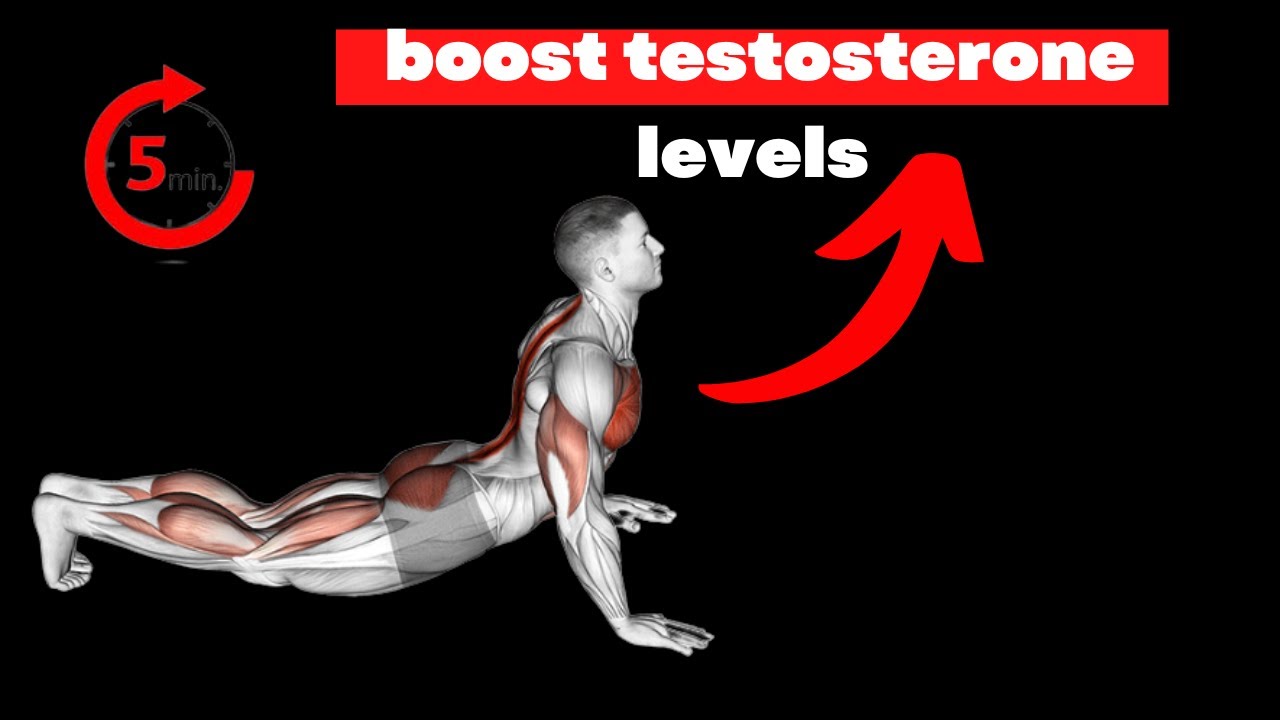 5 Minute Workout to Boost Testosterone Levels - YouTube