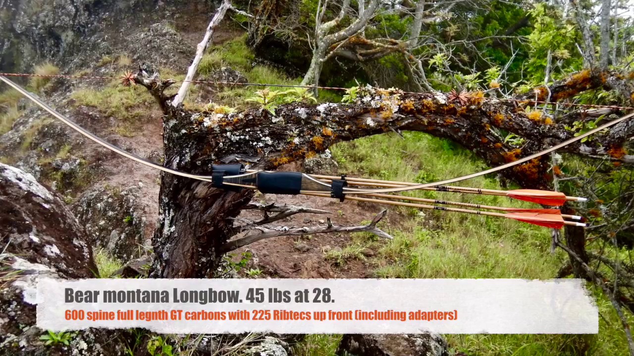 The Runaround: A Traditional Bow hunt for Spanish Goats - YouTube