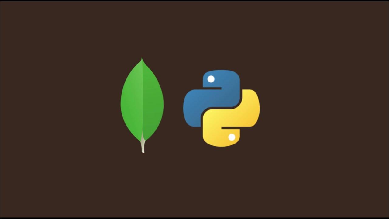 Conectar y crear base de datos en Mongodb con Python - YouTube