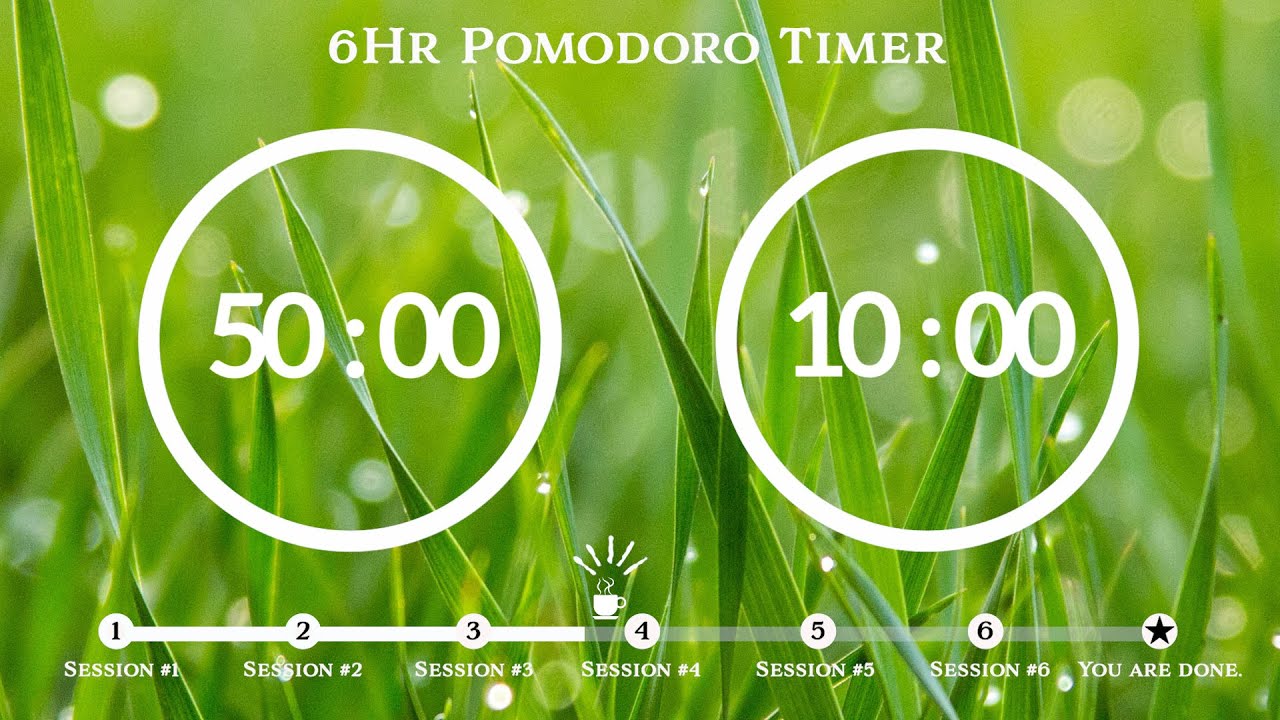 50 Minute Pomodoro Timer 🌿Spring Forest Sound(숲 ASMR)📚6-Hour Study ⏱ ...