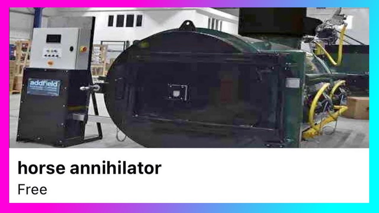 Horse Annihilator - YouTube