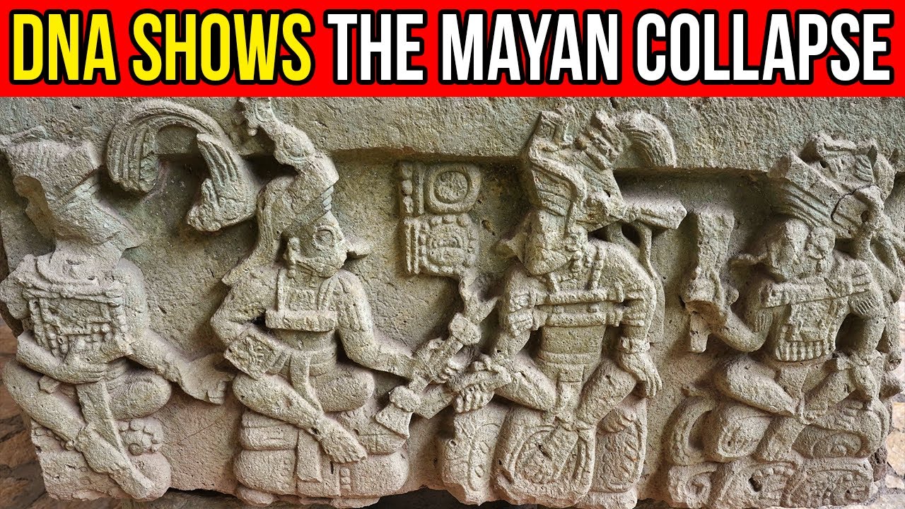 DNA Shows Why The Mayan Civilization Really Collapsed - YouTube