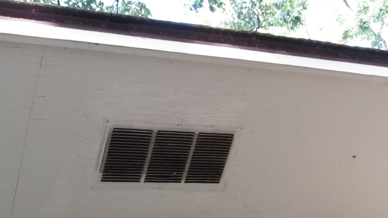 How to prevent insects pests Formosan Termites entering attic space ...