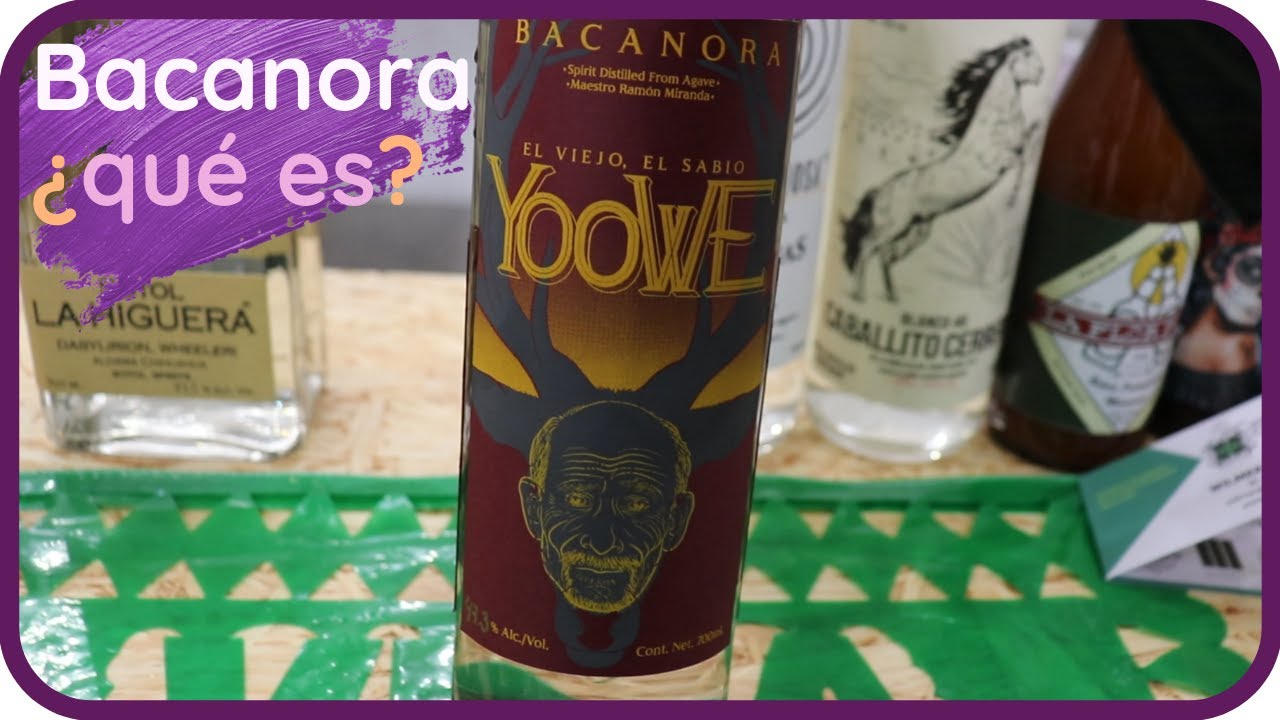 Que es BACANORA DE SONORA? 🥃 Necesito que pruebes esta MARAVILLA! 💯 ...