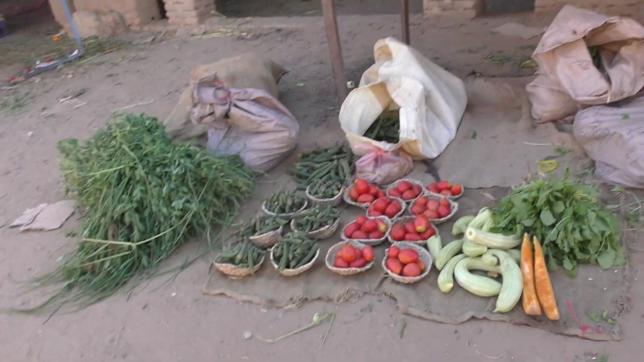 Day 11-Views as we walk in the market of Kabushia town in Sudan - YouTube