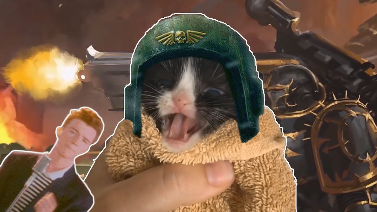 Cat (Warhammer 40k meme) - YouTube
