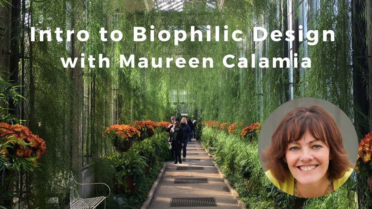Introduction to Biophilic Design Course with Maureen Calamia - YouTube