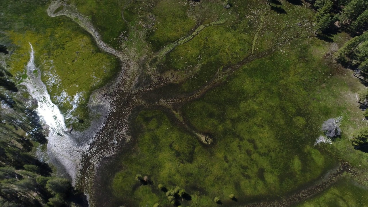 Large Volcanic Springs at the Headwaters of Goodrich Creek - YouTube