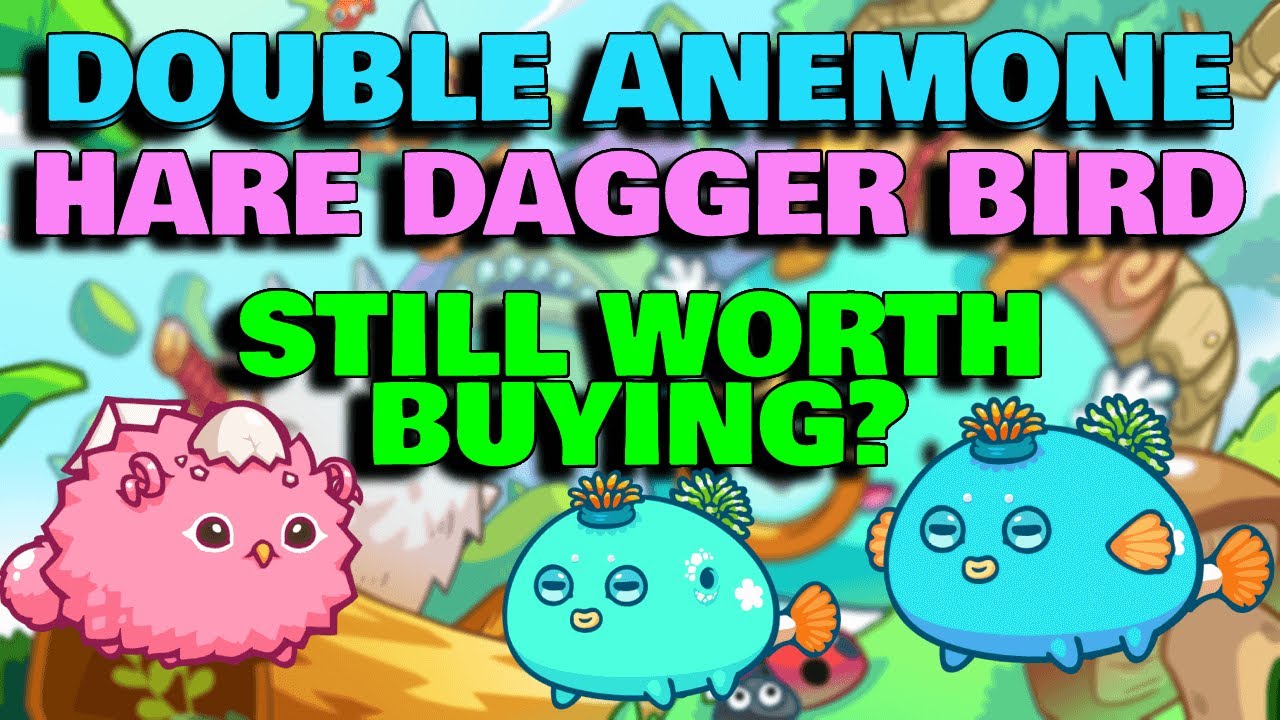 DOUBLE ANEMONE HARE DAGGER BIRD AFTER UPDATE? IT IS STILL STRONG!!! AAB ...