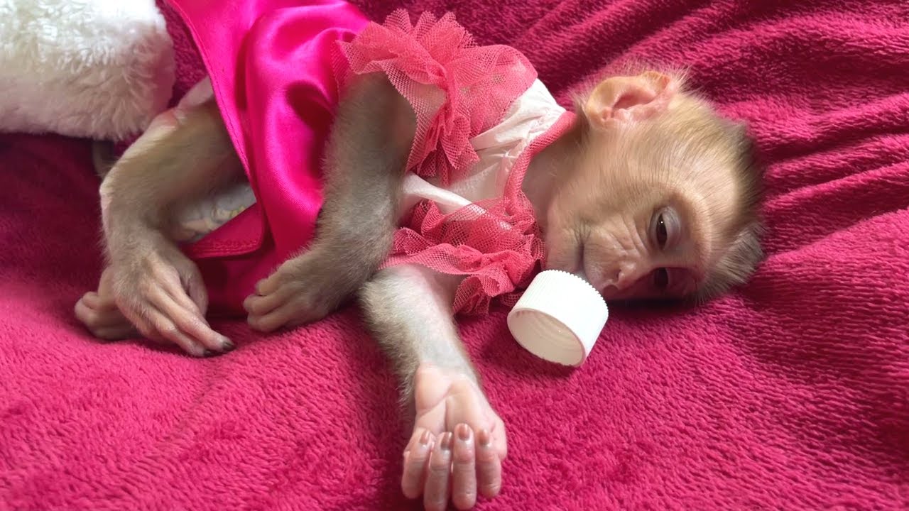 Baby Pink Jessa Never Forget Small Pacifier Comfort Herself To Sleep ...