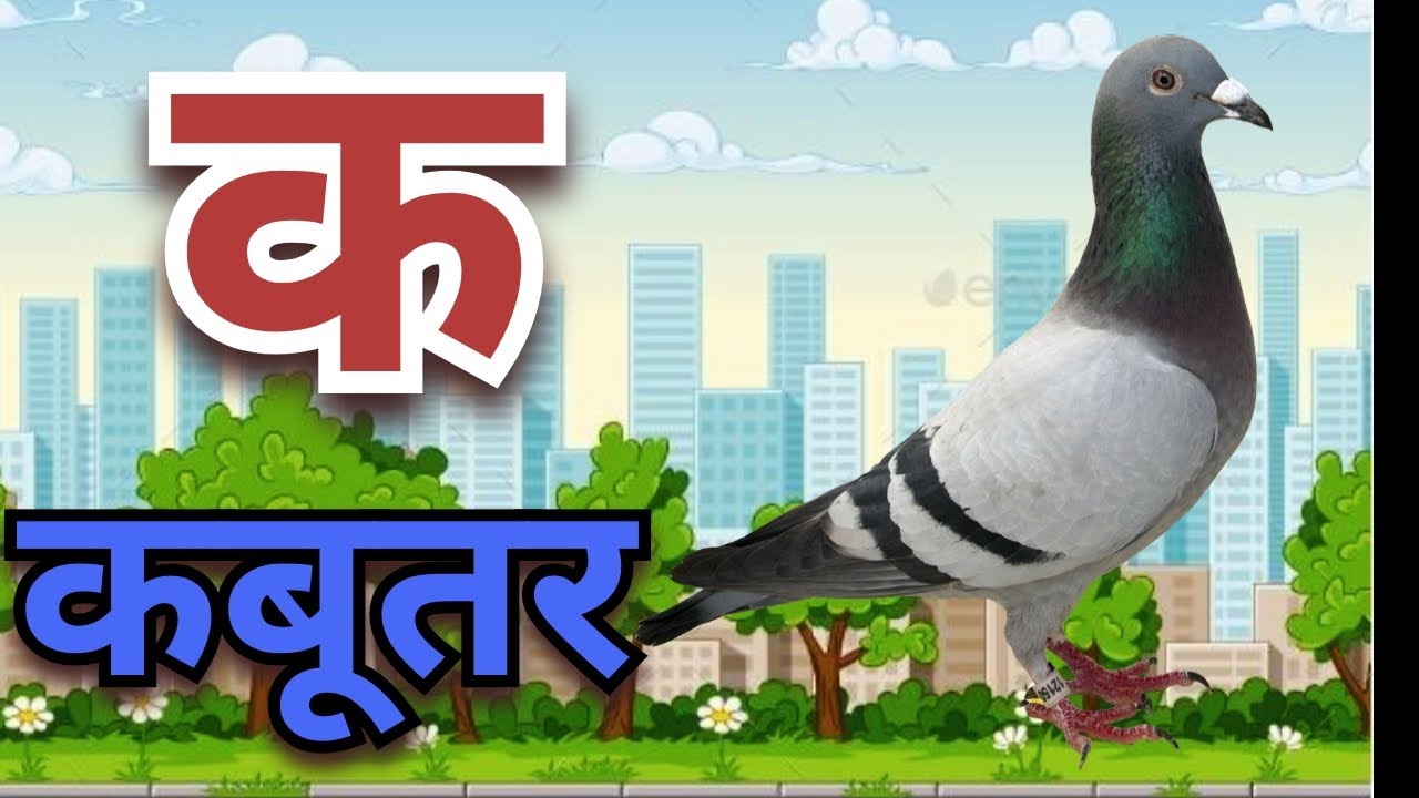 अ से अनार आ से आम, हिंदी वर्णमाला, अआइईउऊ, क से कबूतर, ase anar aa se ...