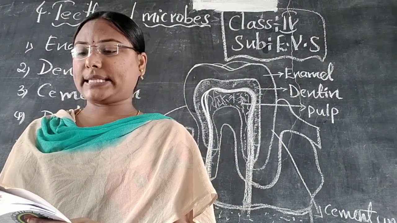 4th Class Science 4th Lesson Structures Of Teeth YouTube 4th-class-science-4th-lesson-structures-of-teeth-youtube