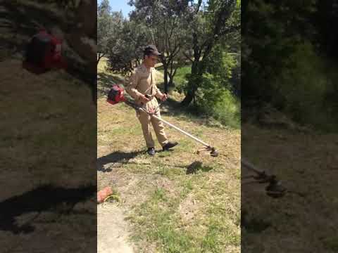 Baba parasıyla araba alanlara gelsin asmanlı