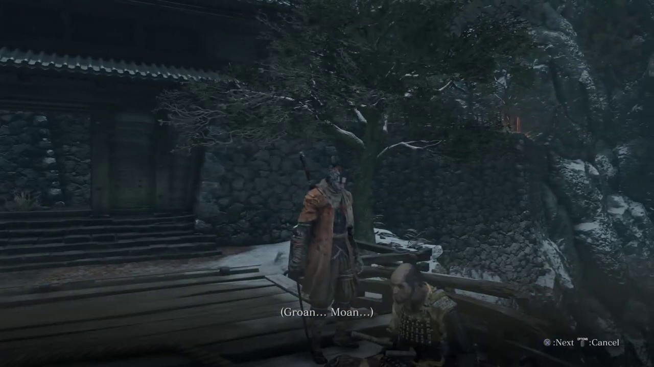 Sekiro P30 (Shigekichi of the Red Guard Cheese + Finding Demon of ...