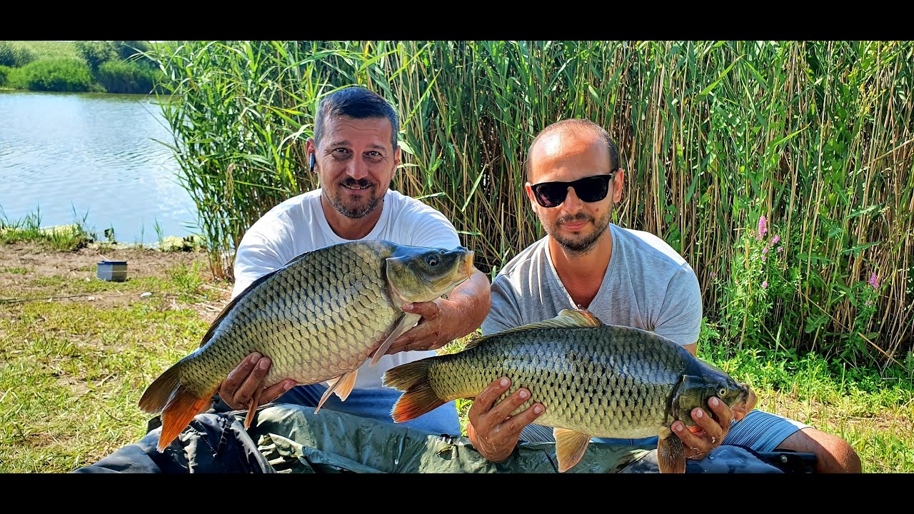 7🎣Pescar din Pasiune - Balta Nemti Ialomita (Cotorca 2) 2020/Concurs ...