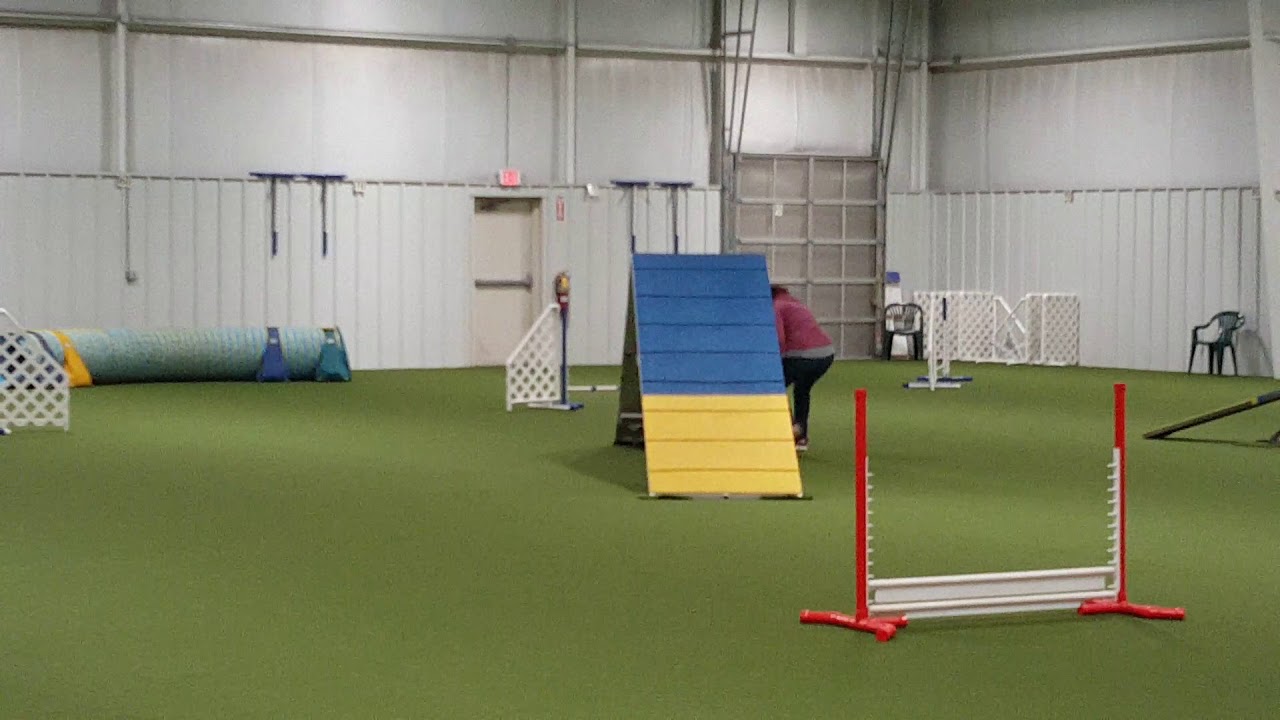 Peppermint Patty training in ring - YouTube