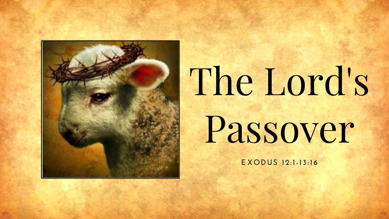 Sunday Service: The Lord's Passover, Exodus 12:1-13:16 - YouTube