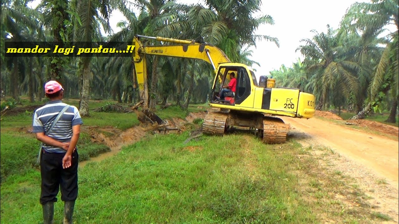 excavator Beko besar Komatsu pc200 kerja cuci parit di perkebunan ...