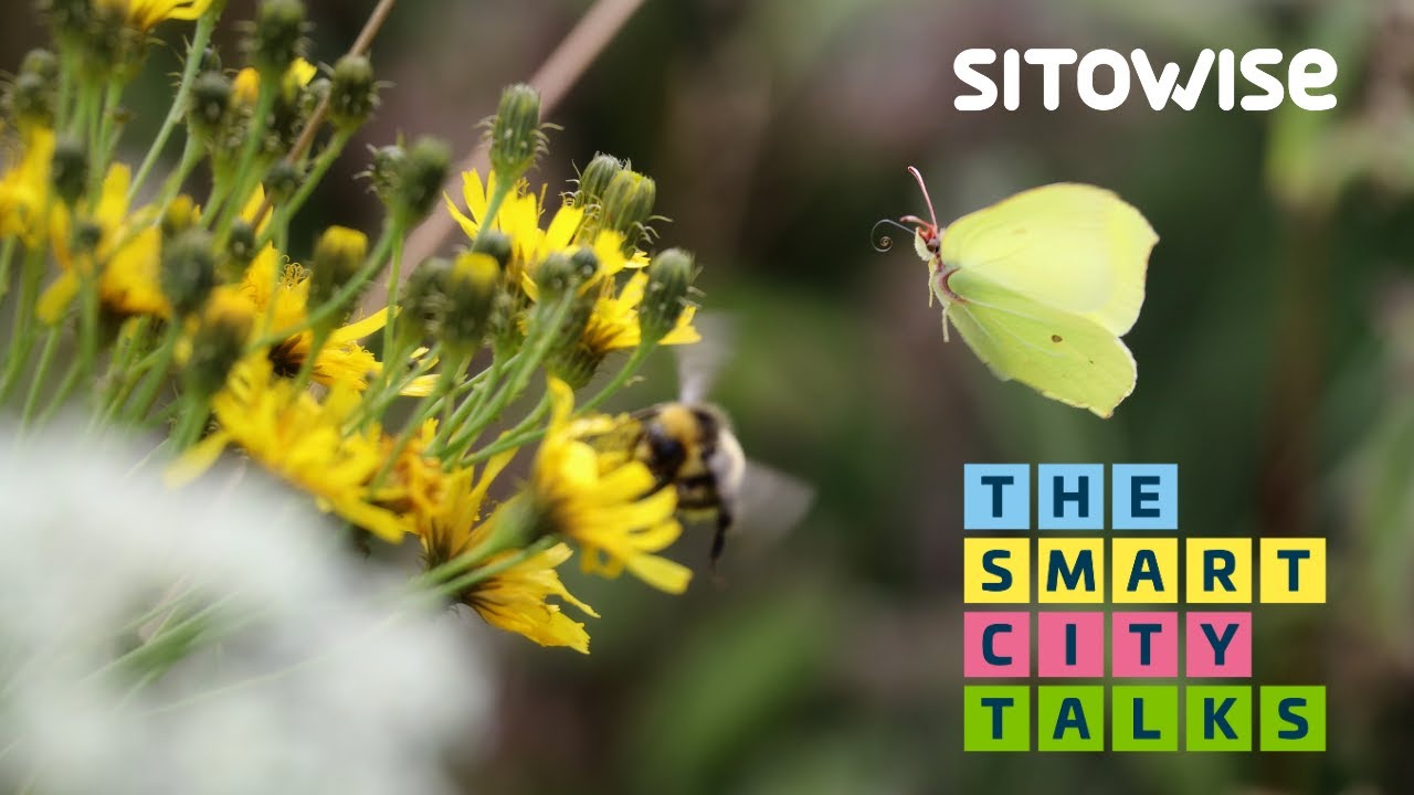 Sitowise - The Smart City Morning Talks 6.10.2023: Vaikuttava luontotyö ...
