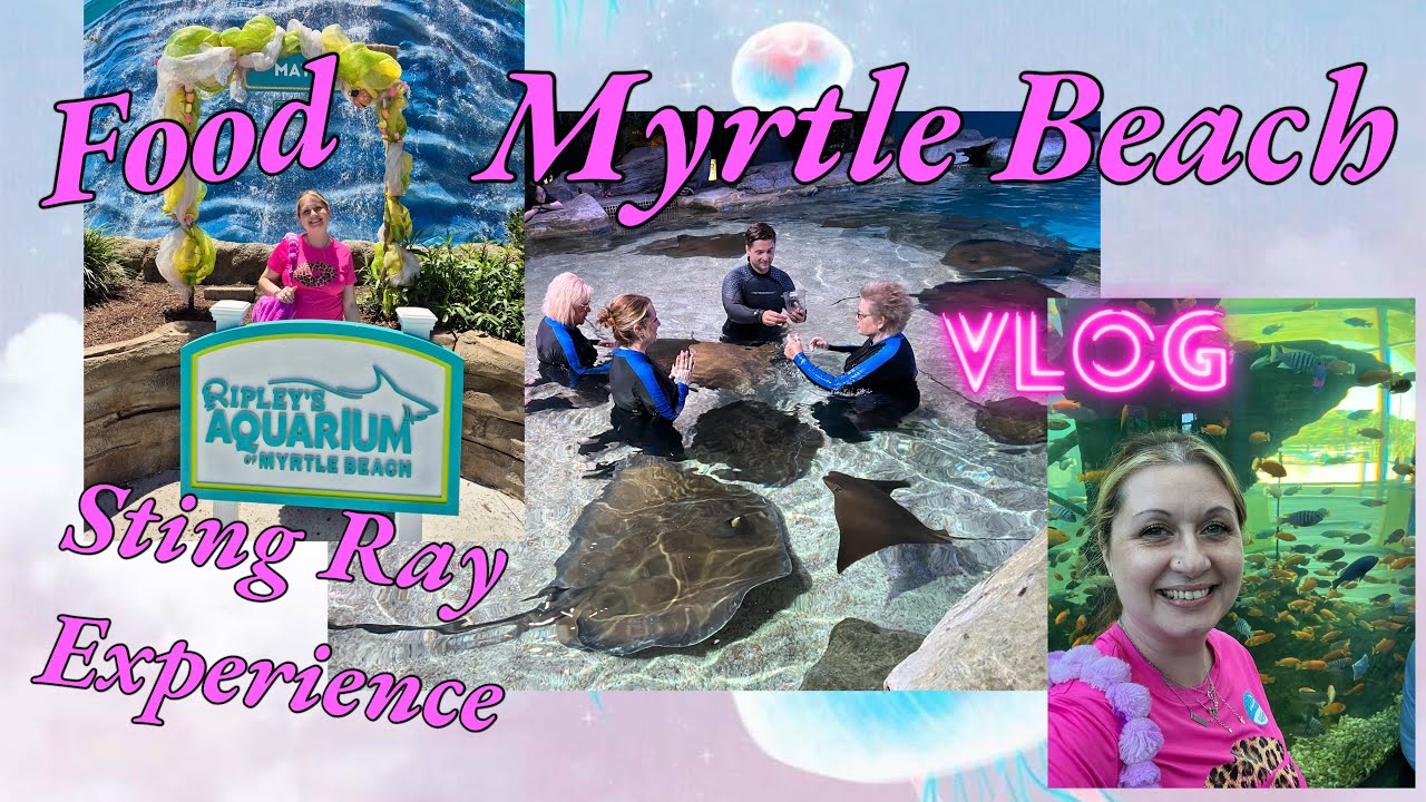 🌴Myrtle Beach Vlog | Food | Aquarium | 🐚🌊🪼Stingray Experience - YouTube