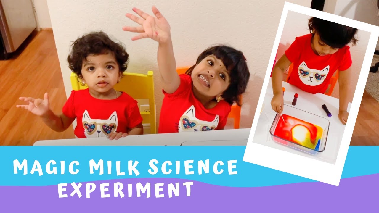 Magic Milk Science Experiment with explanation | Easy Science ...
