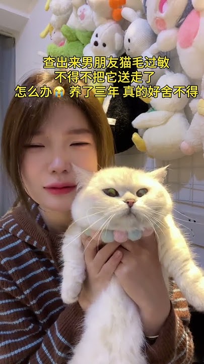 怎么办 真的好舍不得好爱我的猫 我和我的怨种猫咪 铲屎官的乐趣 Youtube