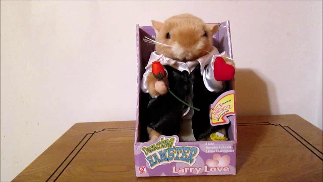 Dancing Hamster - Larry Love II - YouTube