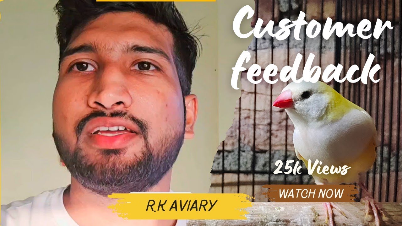 Customer feedback on shipment from R.k aviary || Quality shipment ...