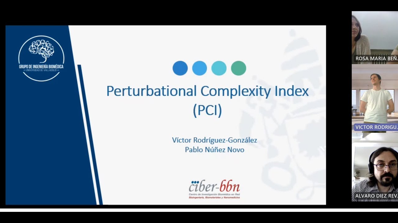 22/06/2023 Resultados - Perturbational Complexity Index - PCI (V ...