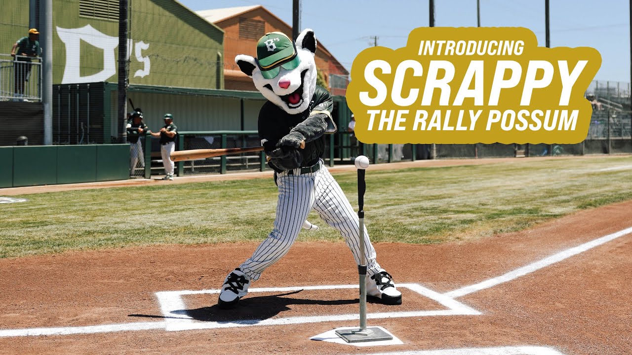 Introducing our mascot, Scrappy the Rally Possum - YouTube
