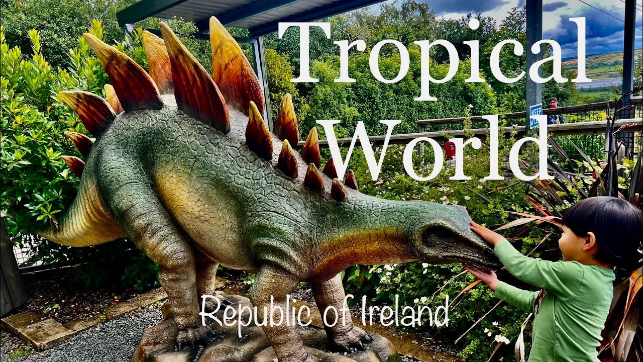 Tropical World | Letterkenny | County Donegal | Republic of Ireland ...