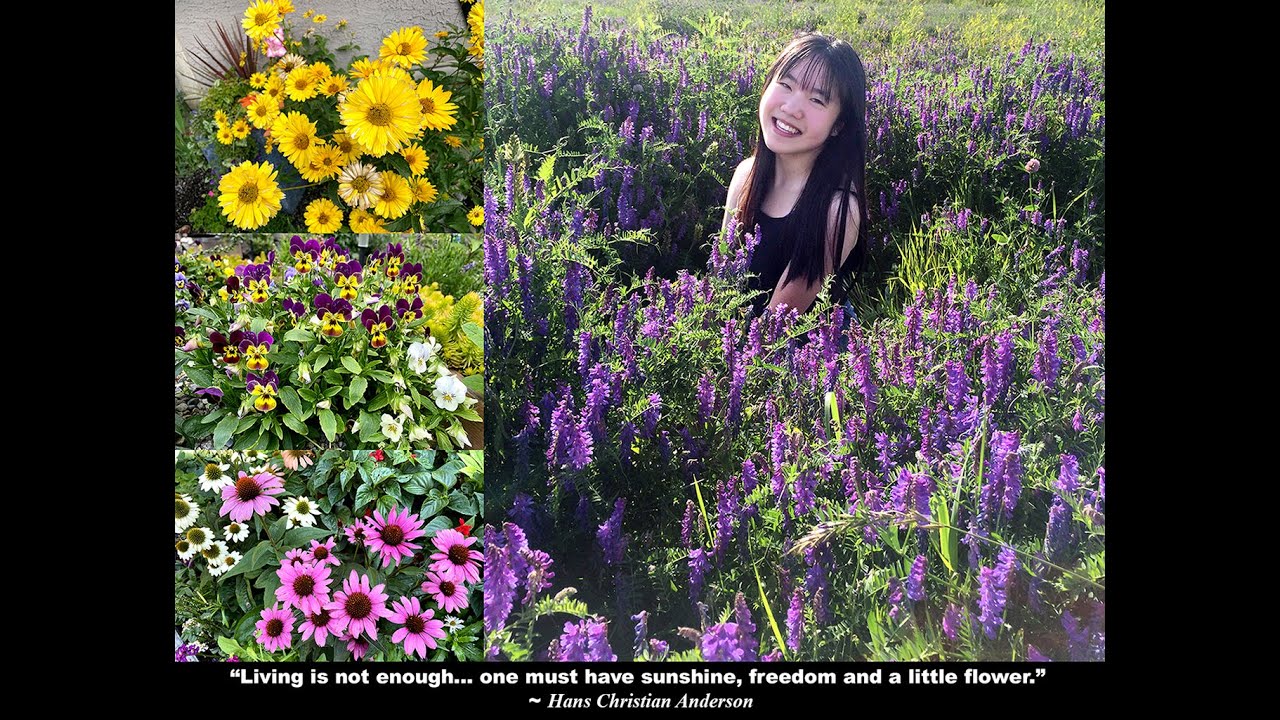 Fun Spring Moments: Summer Blooms - YouTube